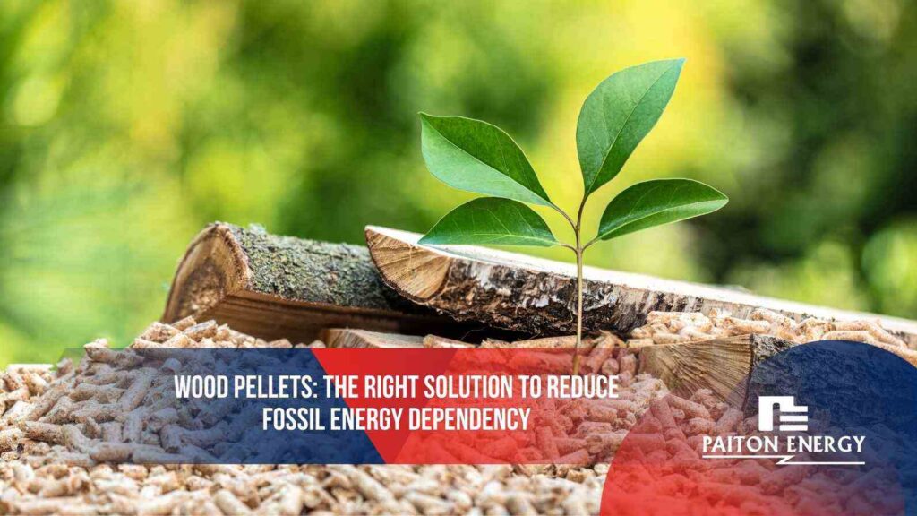Wood Pellets: The Right Solution to Reduce Fossil Energy Dependency ...
