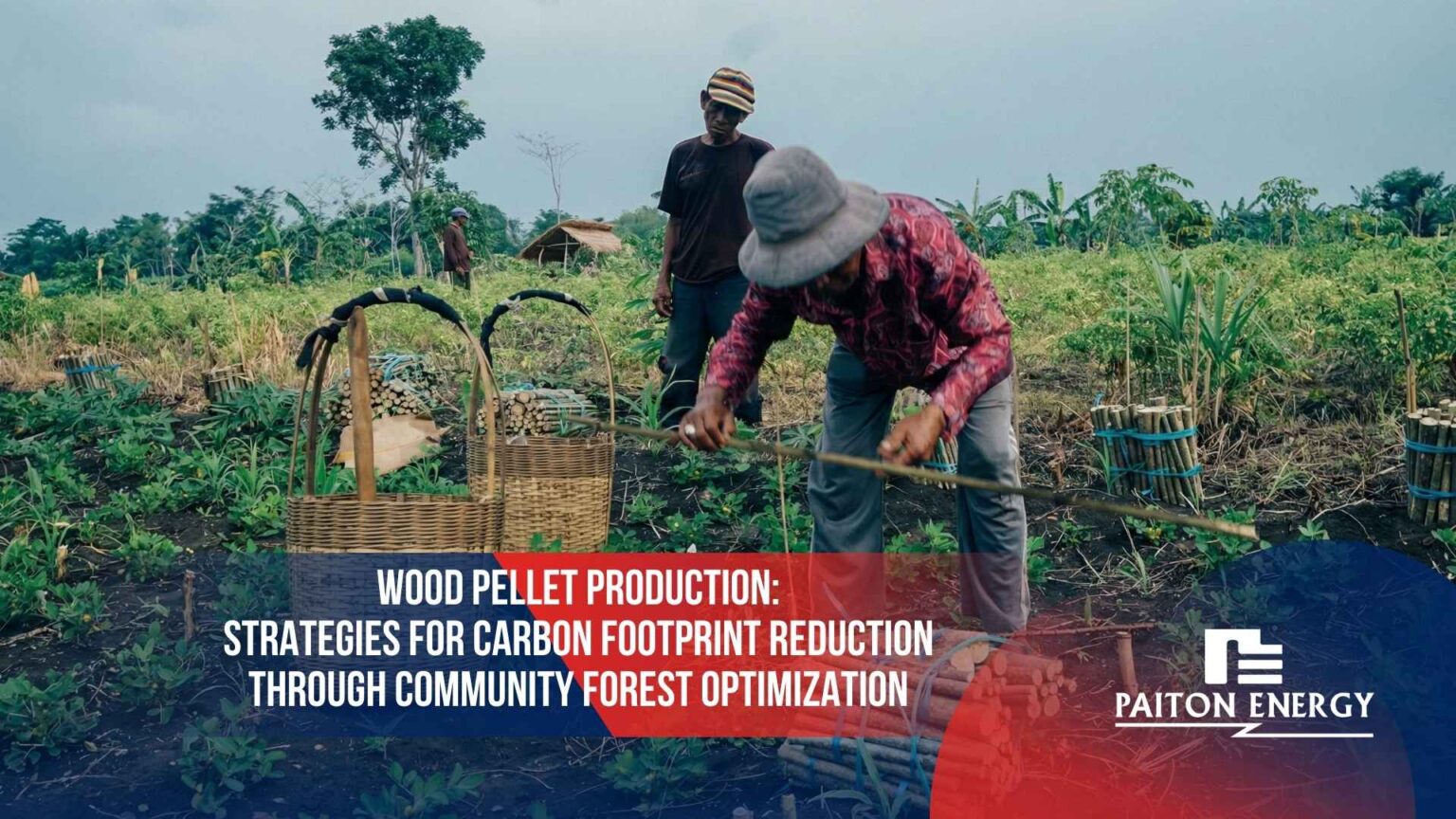 Wood Pellet Production: Strategies for Carbon Footprint Reduction ...